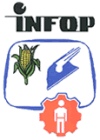 Instituto Nacional de Formación Profesional - INFOP | OIT/Cinterfor
