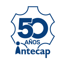 Instituto Técnico de Capacitación y Productividad - INTECAP | OIT/Cinterfor